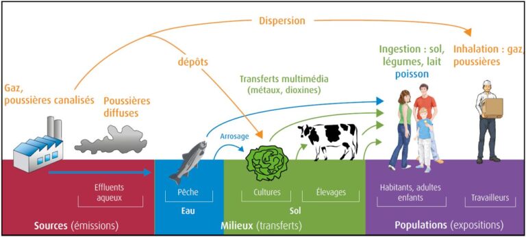 [Defence of thesis] 03/02/2026 - Guillaume Karr: "Contribution de la ...